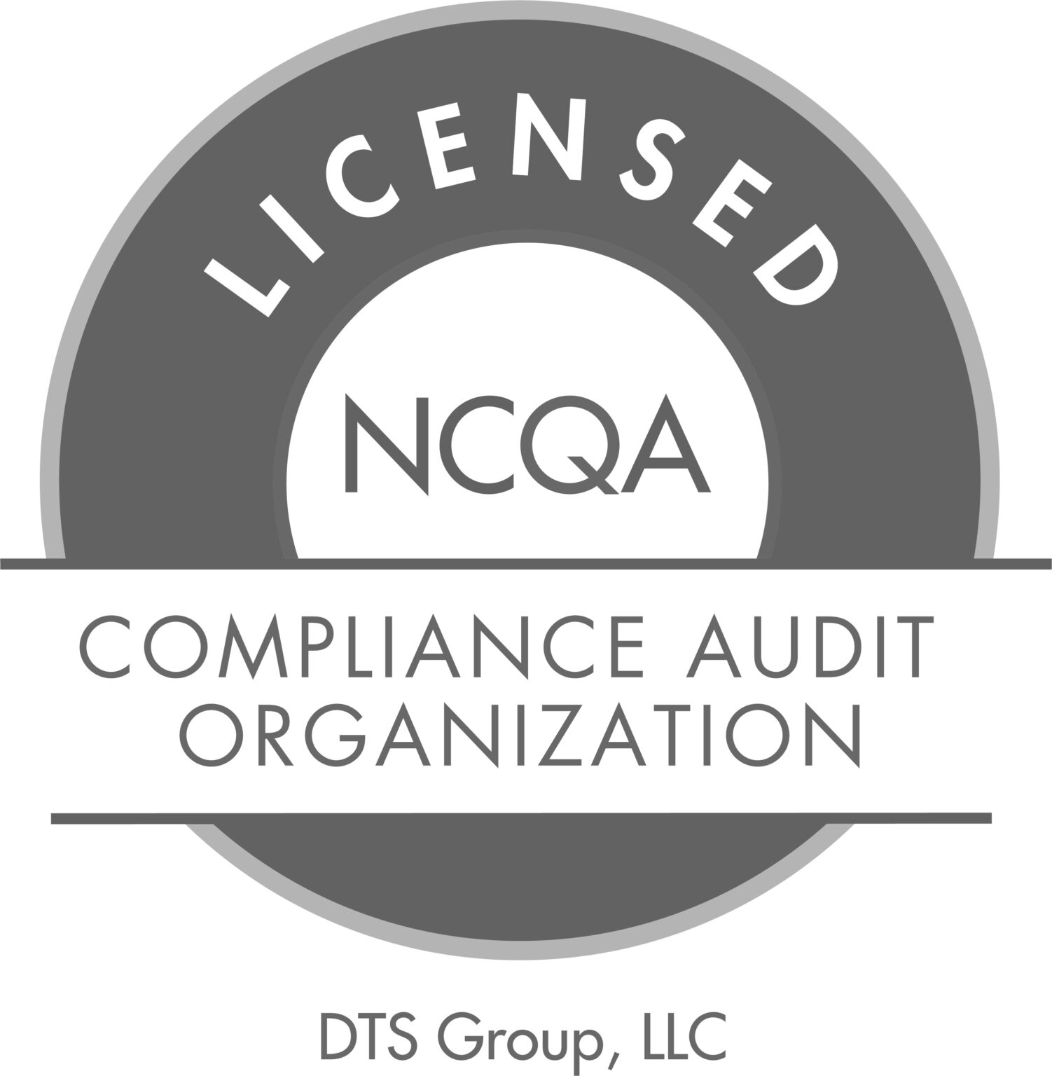 Top Healthcare Compliance Auditing | HEDIS Audit | DTS Group